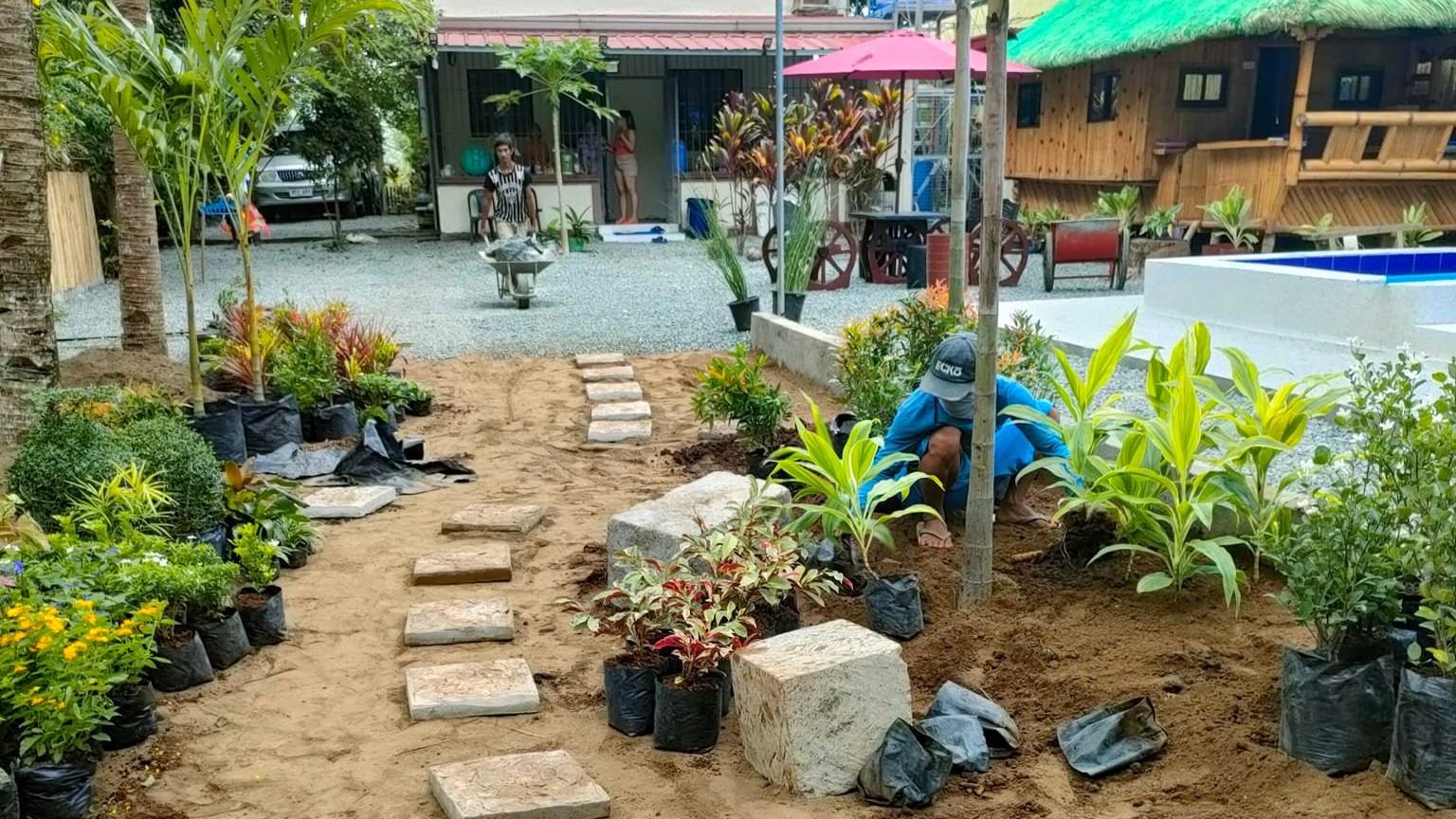 Batino's Garden - Premium Plants & Garden Supplies